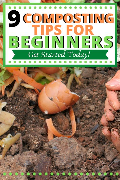 15 Composting Tips For Beginners You Need To Get Started Artofit