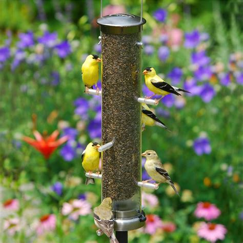 Quick Clean Nyjer Bird Feeder 16 Brushed Nickel Shopic