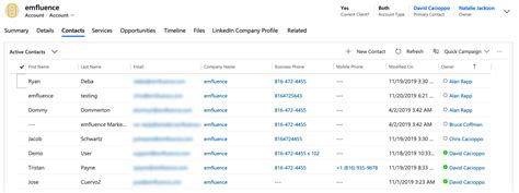 Customizing The Account Entity In Dynamics Crm