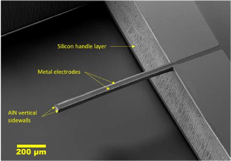 Scanning Electron Microscopy Sem Image Of The Released Silicon Download Scientific Diagram