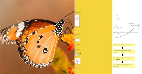 list algorithms curated by kai hauffen medium