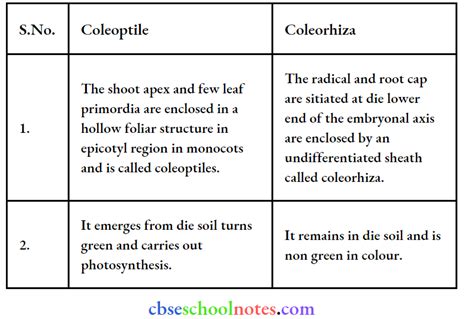 Reproduction In Organisms Class Important Questions And Answers Biology Chapter CBSE