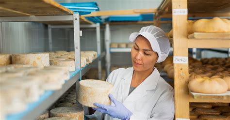 치즈 제조업자는 작업장에서 치즈를 청소합니다 흰 종이에 적힌 숫자는 치즈를 숙성실에 넣은 날짜입니다 사진 Unsplash의 제어 이미지