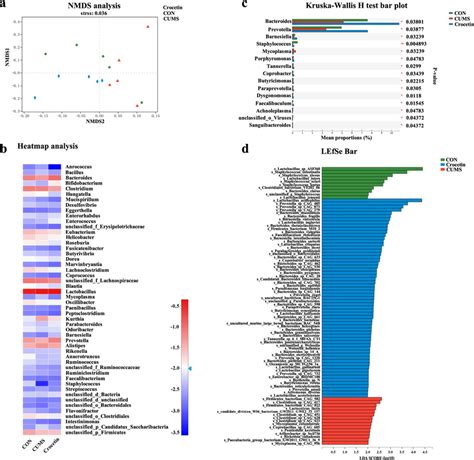 Effects Of Crocetin On The Composition Of Intestinal Flora In Mice A Download Scientific