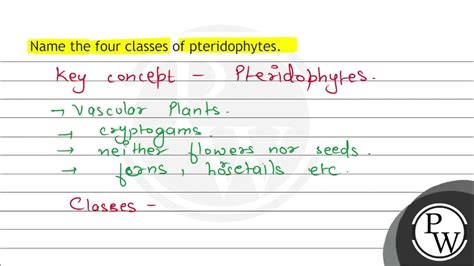 Name The Four Classes Of Pteridophytes Youtube