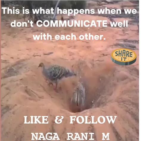 [video] Ramya R On Linkedin Hello Connections Hope Everyone Doing Good I Felt This Video May