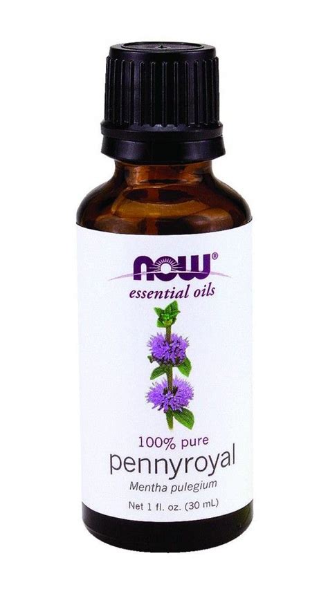Pennyroyal Essential Oil Pennyroyal Product Made Simple Now Now