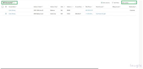 tooltip on search for entity records in dynamics 365 microsoft