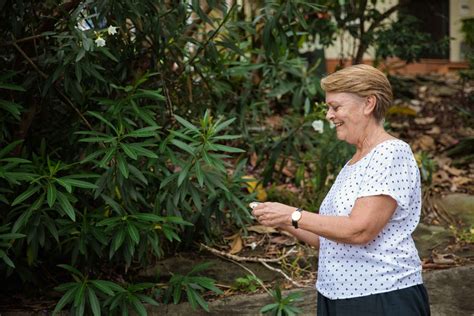 Brain Bootcamp Legacy Brain Health Hub