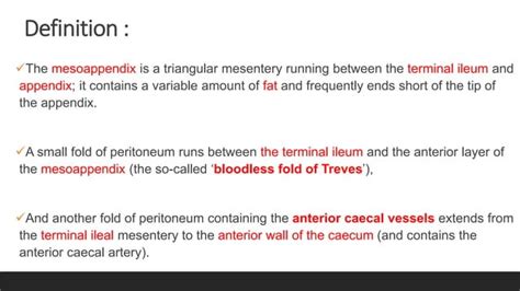 3 Appendix Anatomy Pptx Pregnancy Reproductive Health