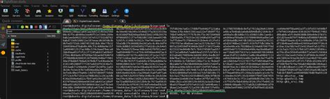 Obtaining Malware Samples Using Honeypots Javifs97