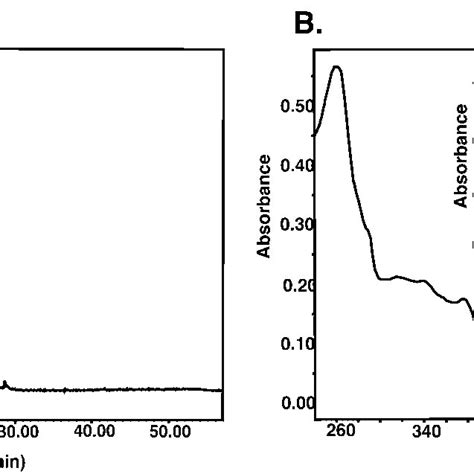 Isolation Of The Reaction Product By Rp Hplc A Elution Profile Of The