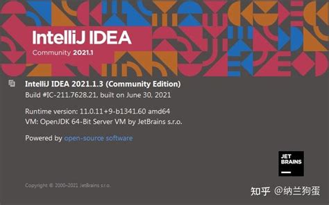 Idea社区版没有spring Initializr 知乎