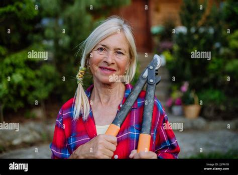 Woman Pruning Tree Garden Hi Res Stock Photography And Images Alamy