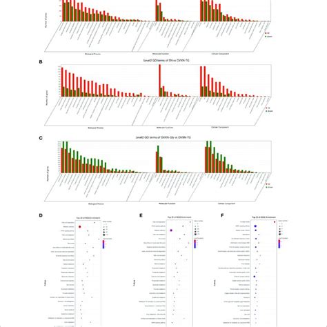 Enriched Molecular Functions And Biological Pathways Of The