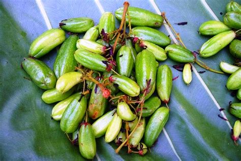 Did You Know That Eating Kamias Everyday Can Do This To Your Body