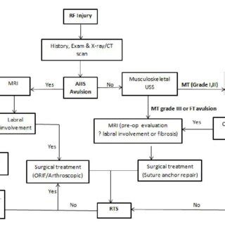 Rectus Femoris Rf Injury Treatment Algorithm Download Scientific Diagram