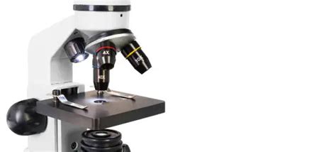 Free Label Microscope Parts Photos And Pictures Freeimages