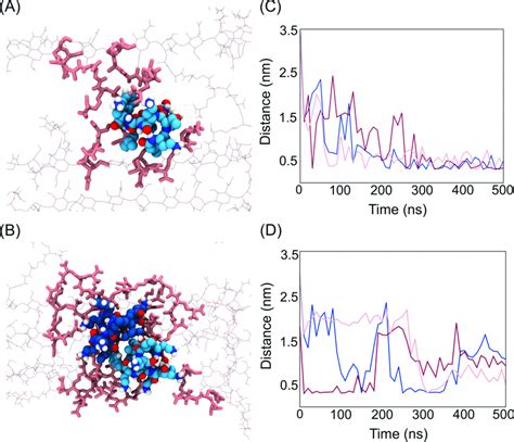 PMB1 Binding Modes To The Cell Wall Extracted From PMBdil And PMBprot Download Scientific