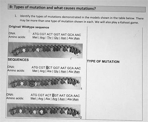 SOLVED Texts B Types Of Mutation And What Causes Mutations 1 Identify The Types Of