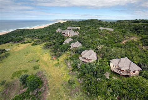 Oceana Beach And Wildlife Reserve Garden Route Rhino Africa