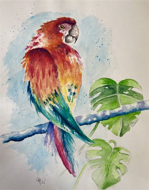 Macaw In Watercolour An Evening Art Class 16th October 7 830 Pm Bidford Primary School Artbase