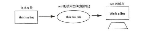 Shellmysqlmdshell三剑客md At Main Shellmysqlmd 行癫代码库