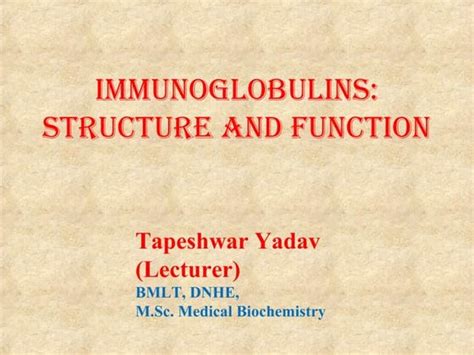 Classes Of Immunoglobulin Ppt