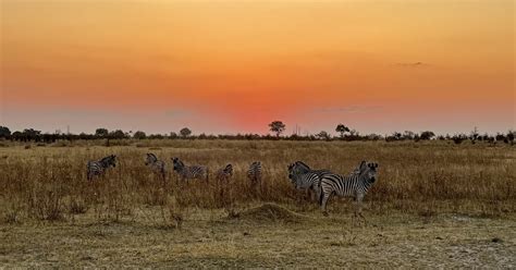 A Total Katastrophe Adventures In Botswana Arrival