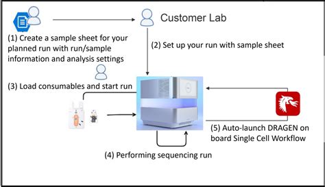 Illumina Post Sequencing Auto Launch DRAGEN Single Cell RNA