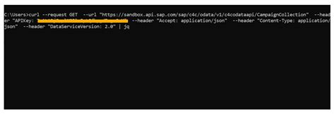 Test Sap Business Accelerator Hub Apis With Curl Sap Tutorials