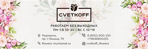 Сообщество «Cvetkoff цветы Мурманска» ВКонтакте — цветы, Мурманск