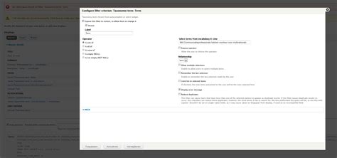 cannot save setting for filter criterion taxonomy term term [ 1369646