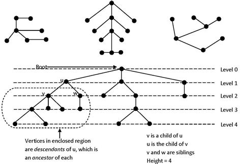 Tree Diagram Definition Exatin Info