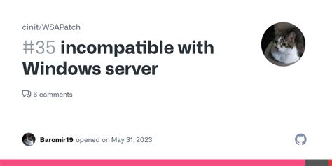 Incompatible With Windows Server Issue Cinit WSAPatch GitHub