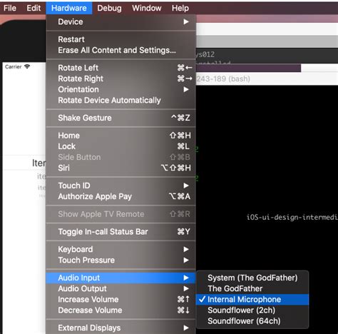 xcode ios simulator would like to access microphone every time