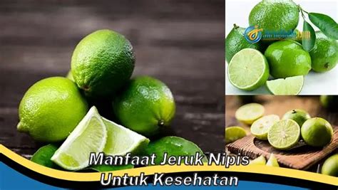Temukan Manfaat Jeruk Nipis Yang Jarang Diketahui Untuk Kesehatan