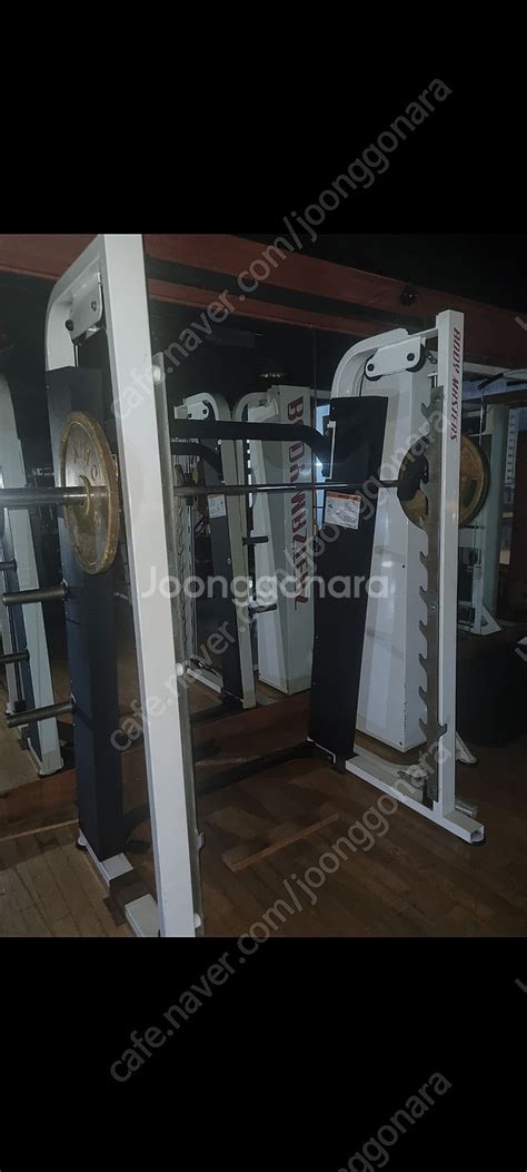 헬스기구 정리 스미스머신케이블벤치프레스고정바벨 헬스용품 중고나라