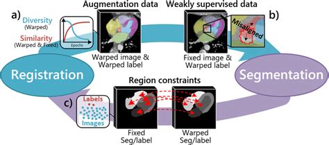 The Complementary Topology And Limitations Of Registration And Download Scientific Diagram