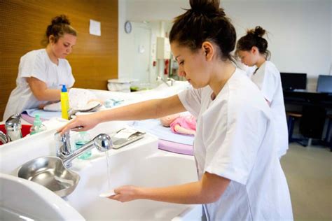 Bac Pro Assp Lycée Professionnel Jean Monnet