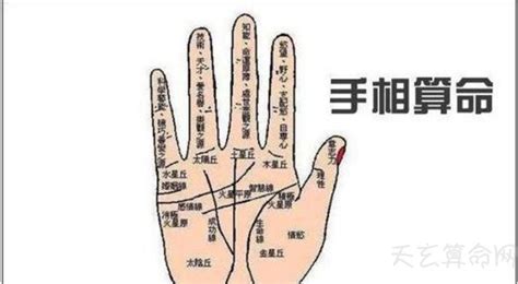 如何看手掌纹算命 手掌纹算命图解 手相大全