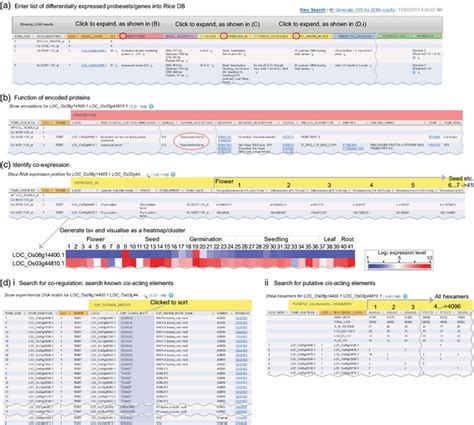 Microarray Analysis Workflow Using Rice Db A The Summary Output