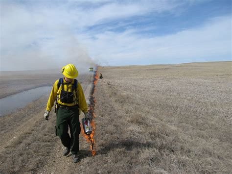 Linting Meaning Linting Meaning