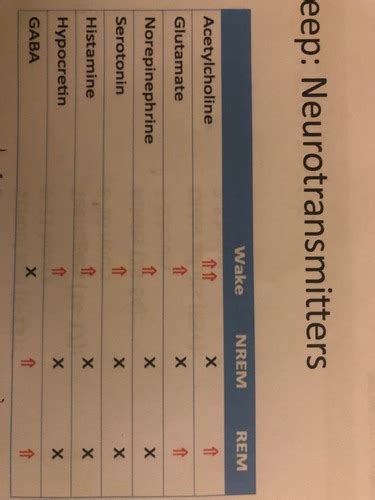 Sleep And Sleep Disorders Flashcards Quizlet