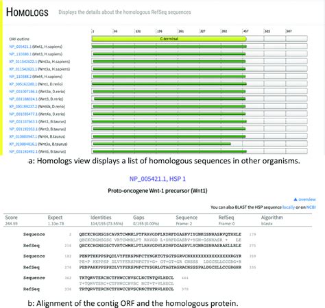 A Homologs View Displays A List Of Homologous Sequences In Other Download Scientific Diagram
