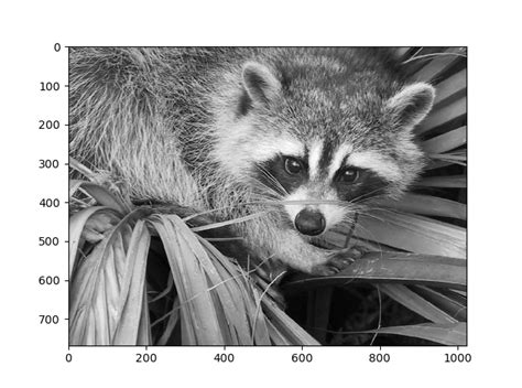 Image Warping With Python Stack Overflow