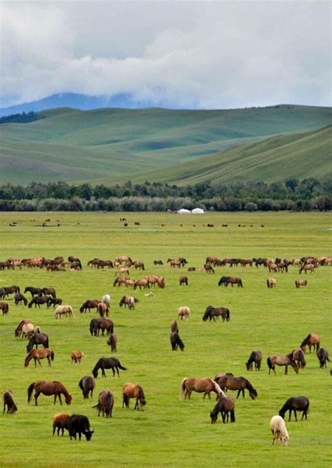 Ийм сайхан нутагтай юм чинь Инээж явалгүй л яахавдээ бид чинь