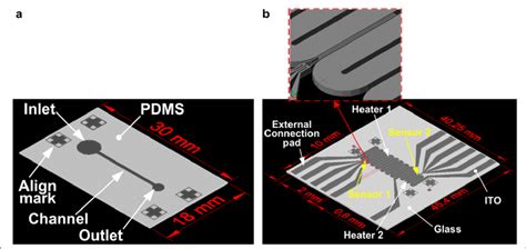Schematic Diagrams Of The Sperm Sorting Microfluidic Device A Download Scientific Diagram