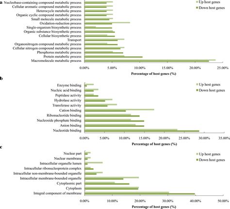 Functional Categorization Of The Linear Host Genes Of Differentially