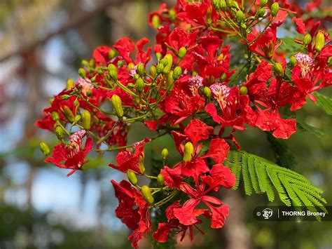 Thmey Thmey Thmey Thmey Added A New Photo